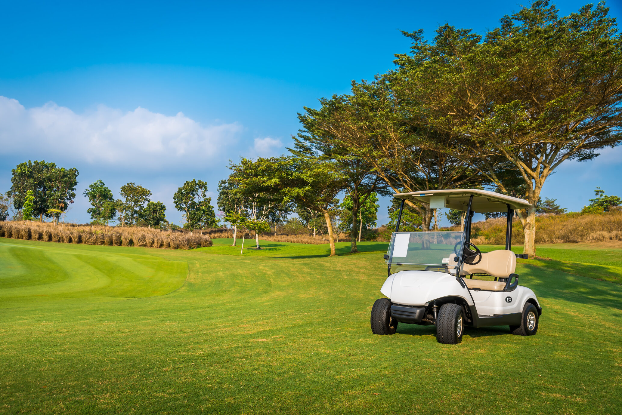 Golf Cars, Expensive? | Capitalize On Your Investment