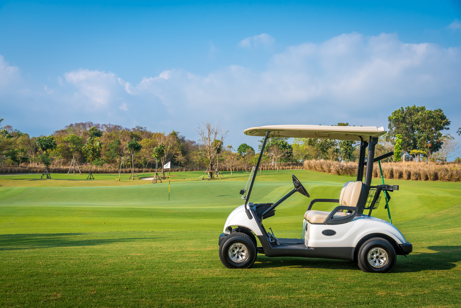 Buy a Golf Car on Our New Website | 5 New Things You Can Do